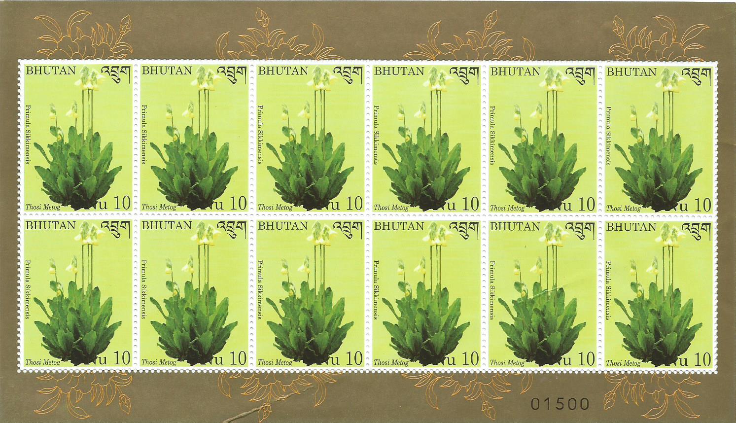 Wild Flowers of Bhutan – Primula Sikkimensis -2014. – Stamp Digest