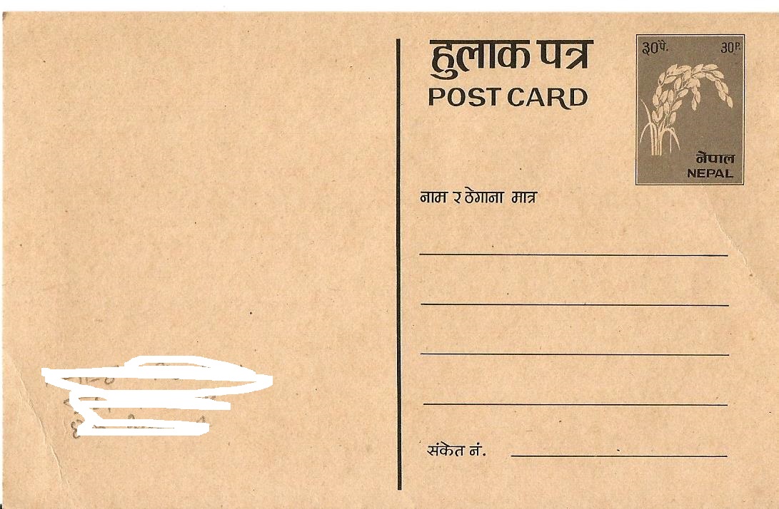 Postcards of Nepal 1984 – Rice Plant. – Stamp Digest