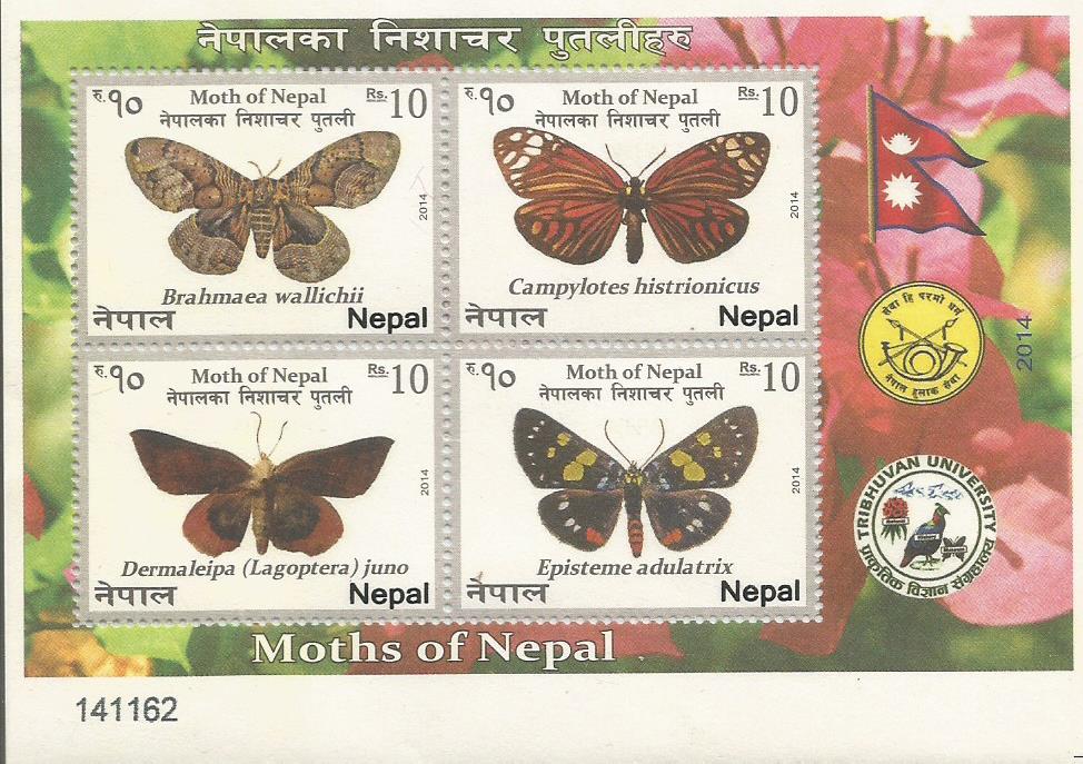 Moths of Nepal – Miniature Sheet 2014. – Stamp Digest