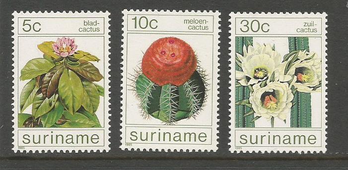 Stamps on Cactus– Suriname 1985 – Stamp Digest