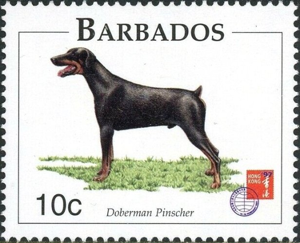 Barbados – Doberman – Stamp Digest