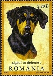 Dog Breeds – Romania 2005 – Stamp Digest