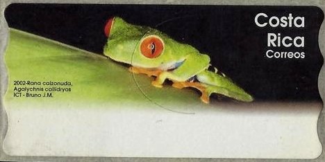 Costa Rica Red Frog – Stamp Digest