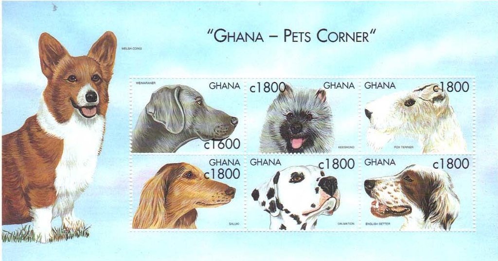 Stamps of Ghana- Dogs – Stamp Digest