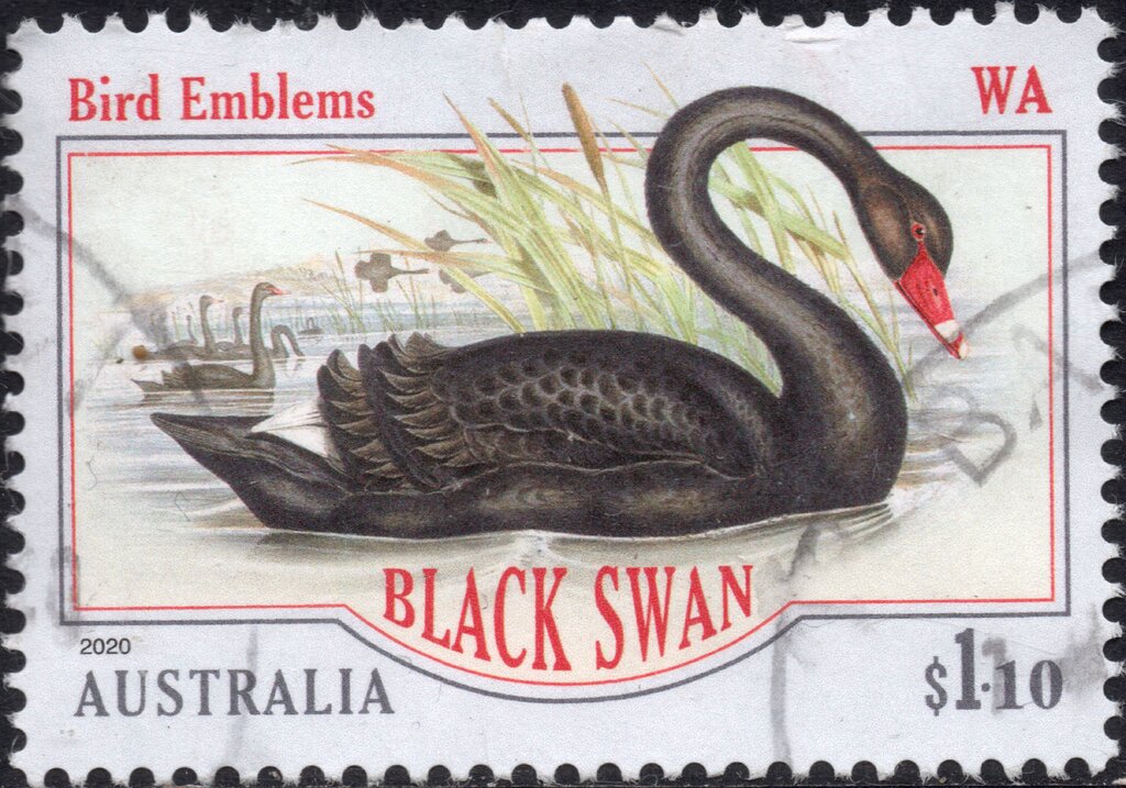State Bird Emblems – Stamps of Australia 2020. – Stamp Digest