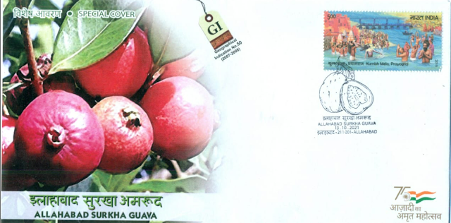 Allahabad Surkha Guava – GI Tag Special Covers -India 2021 – Stamp Digest