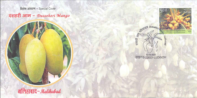Malihabadi Dussheri Mangoes -GI TAG – Special Cover 2021 – Stamp Digest