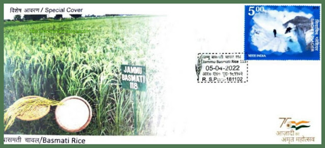 Jammu Basmati Rice -Special Covers India 2022 – Stamp Digest